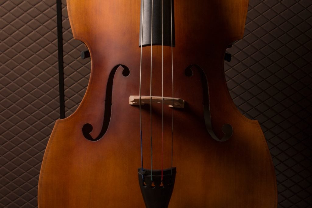 Get to Know the Double Bass | Bax Music Blog