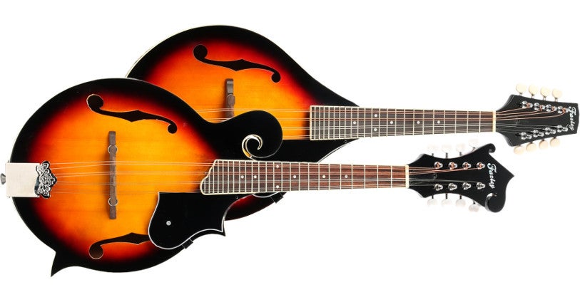 The Mandolin: The Basics | Bax Music Blog
